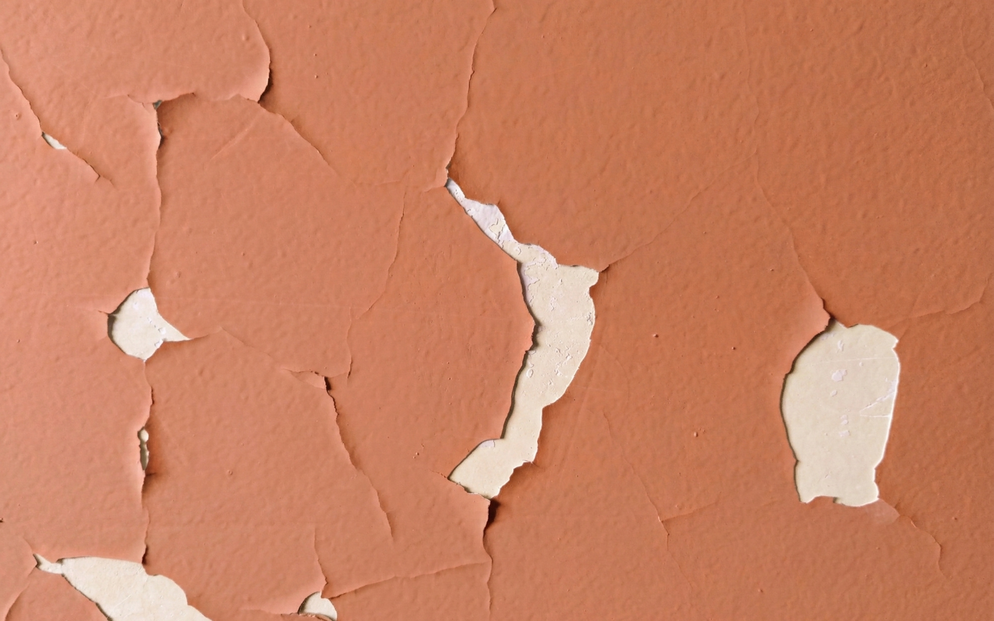 Why is My Paint Peeling? Top 3 Reasons Paint Jobs Fail